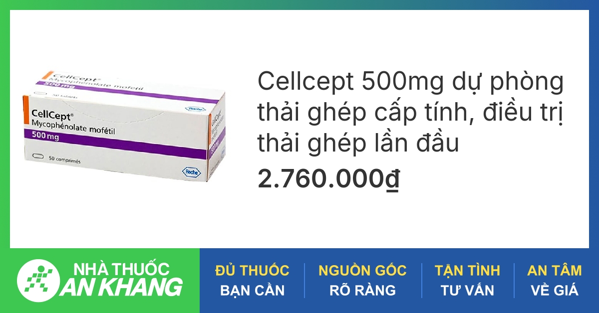 Cellcept 500mg dự phòng thải ghép cấp tính, điều trị thải ghép lần đầu ...