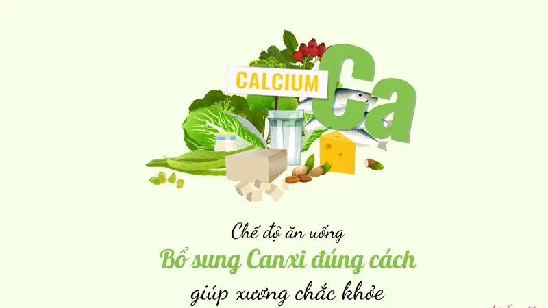 Canxi là gì? Vai trò của Canxi và các thực phẩm giàu Canxi