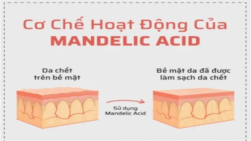 Mandelic Acid là gì? Mandelic Acid có công dụng gì trong làm đẹp?