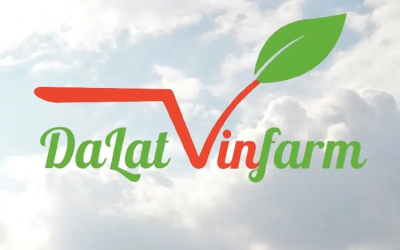 Chống ngán mùa Tết với kim chi, dưa cải Oppa