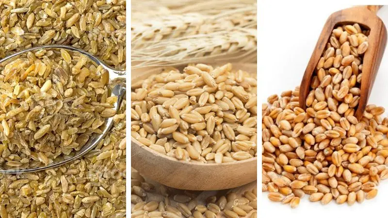 Dị ứng hạt quinoa nên làm gì? Triệu chứng và cách điều trị